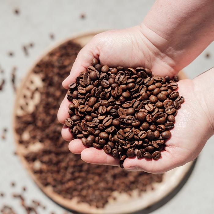 Your full-service coffee supplier - BKI foods